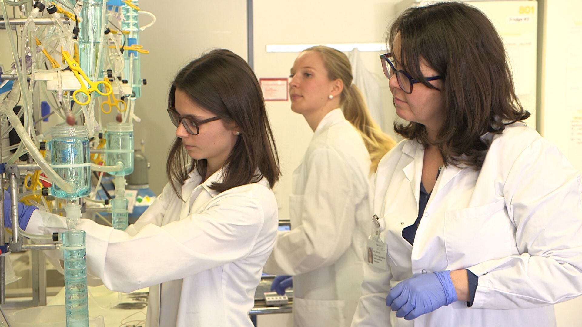 Brandneue Forschung aus der Herzchirurgie - GESUNDHEITHEUTE ...